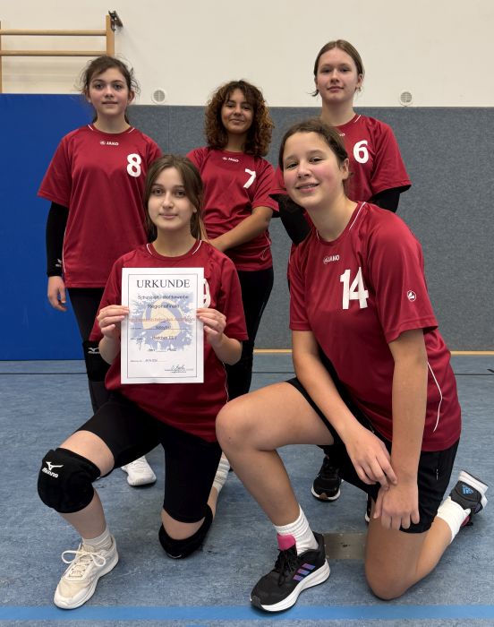 Volleyball – Regionalentscheid der Mädchen III/1 – Dalberg